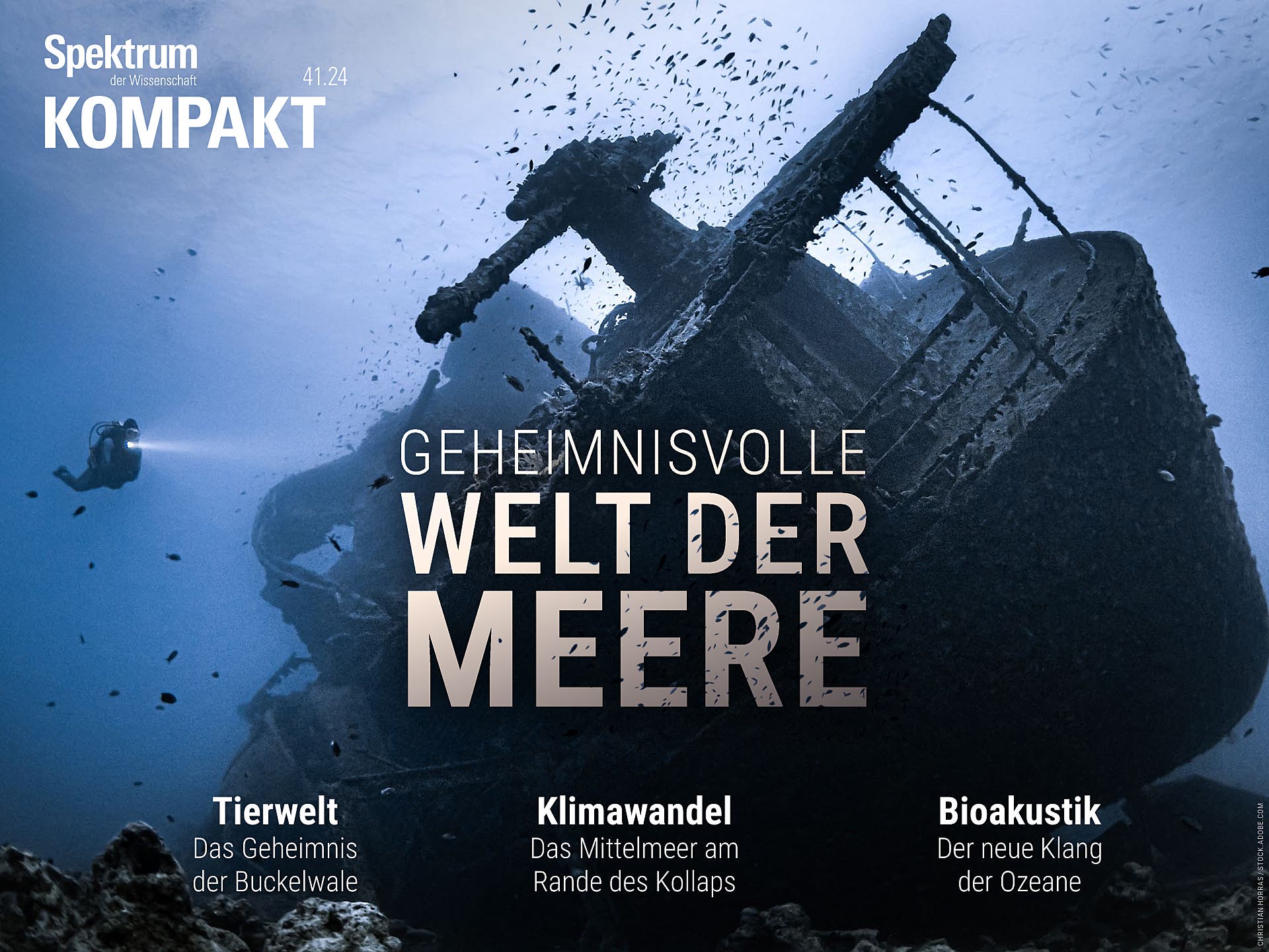 Geheimnisvolle Welt der Meere – Spektrum Kompakt 41/2024 - Spektrum der ...