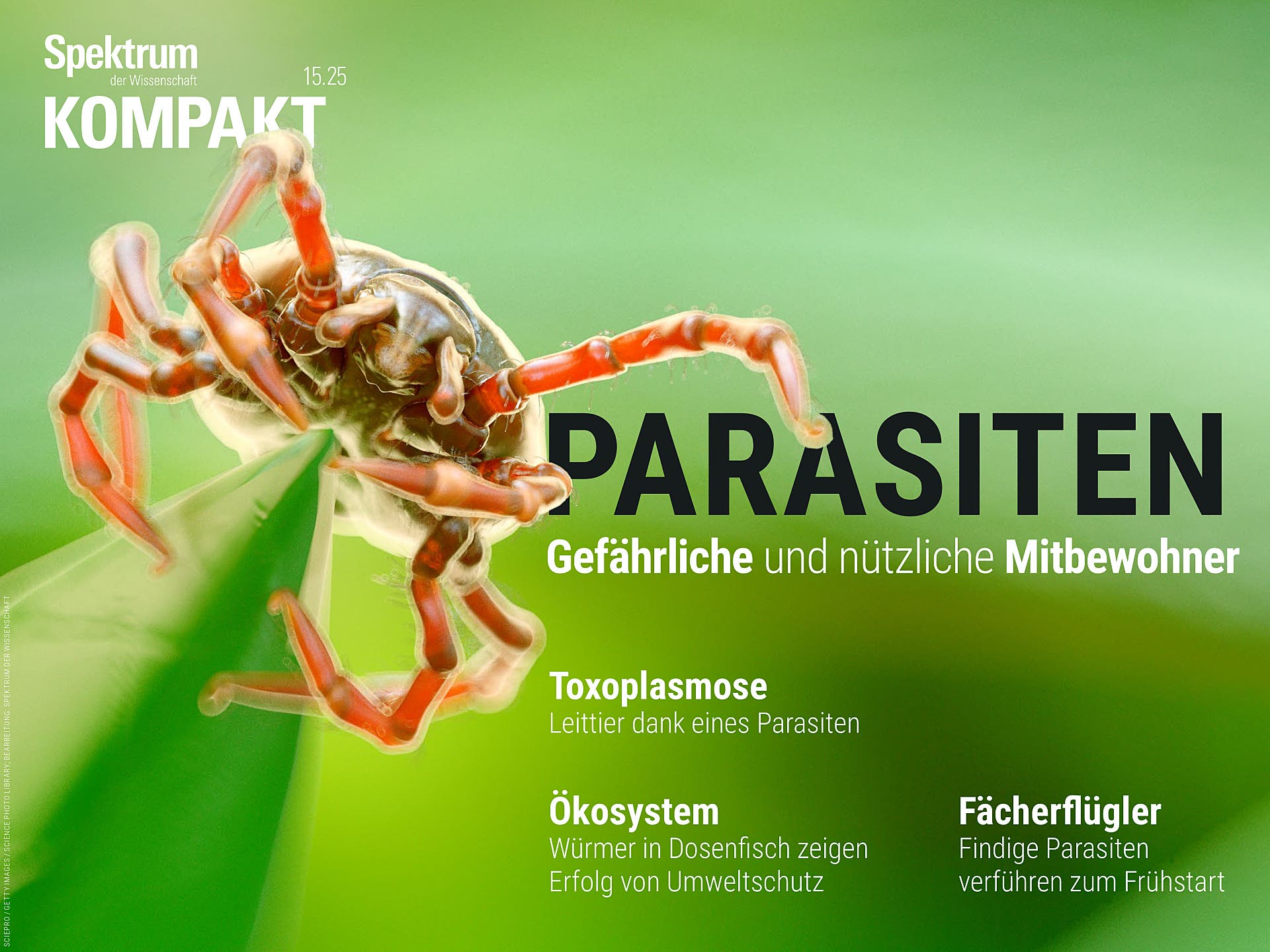 Parasiten - Spektrum Kompakt 15/2025 - Spektrum der Wissenschaft