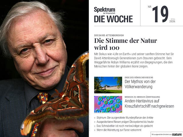 Kommissur - Lexikon der Neurowissenschaft