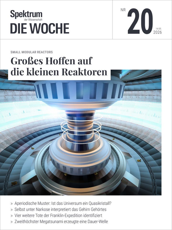 Großes Hoffen auf die kleinen Reaktoren – Spektrum – Die Woche 20/2026 ...